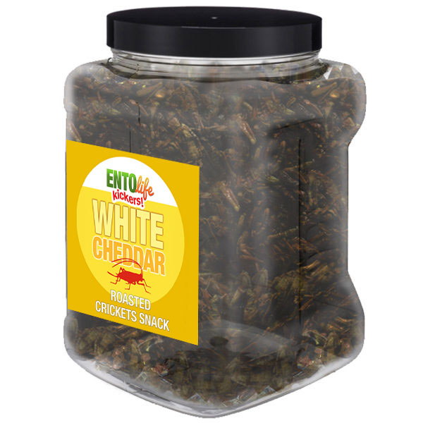 Bulk Crickets by the Pound - White Cheddar Flavored Cricket Snack ...