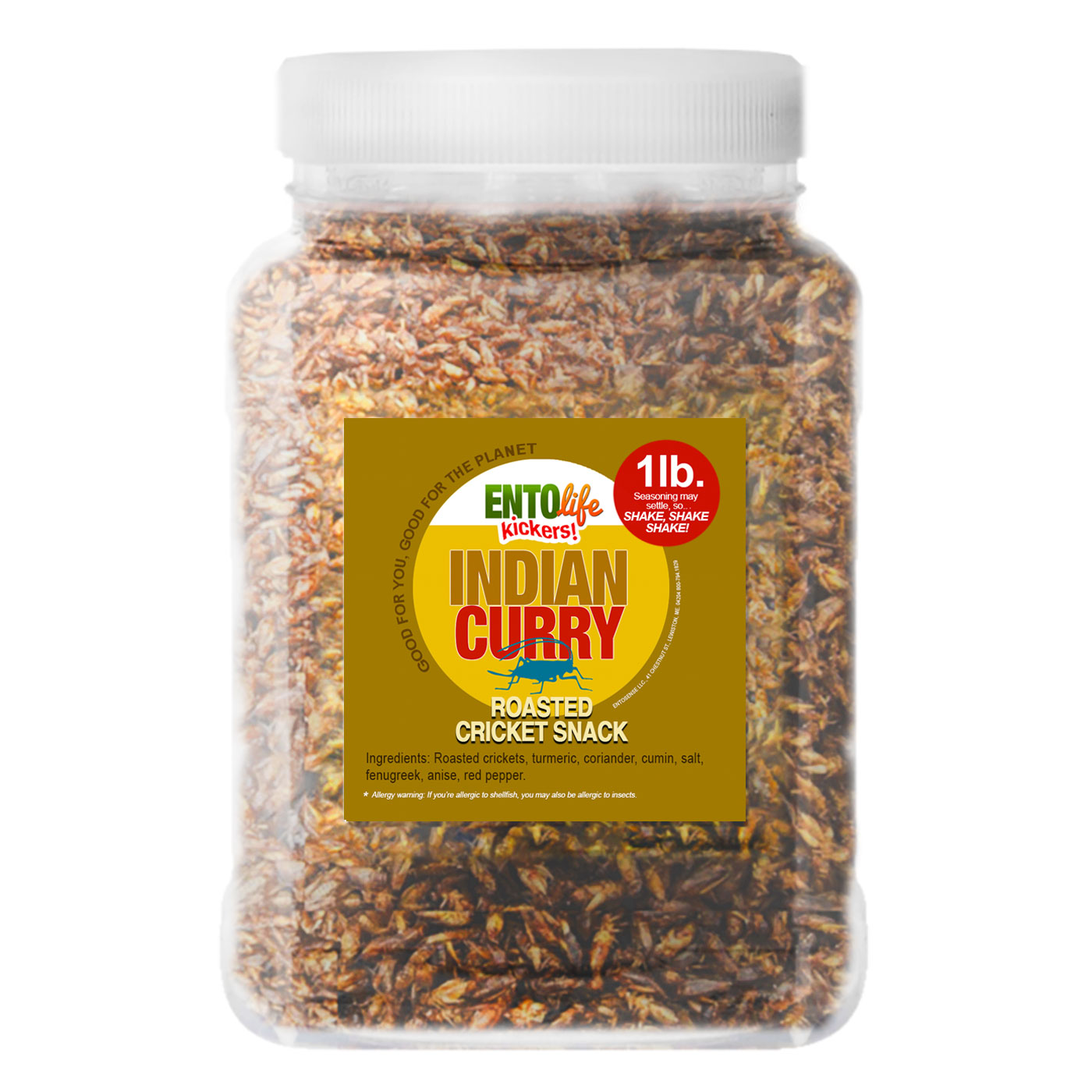Bulk Crickets by the Pound - Indian Curry Flavored Cricket Snack ...