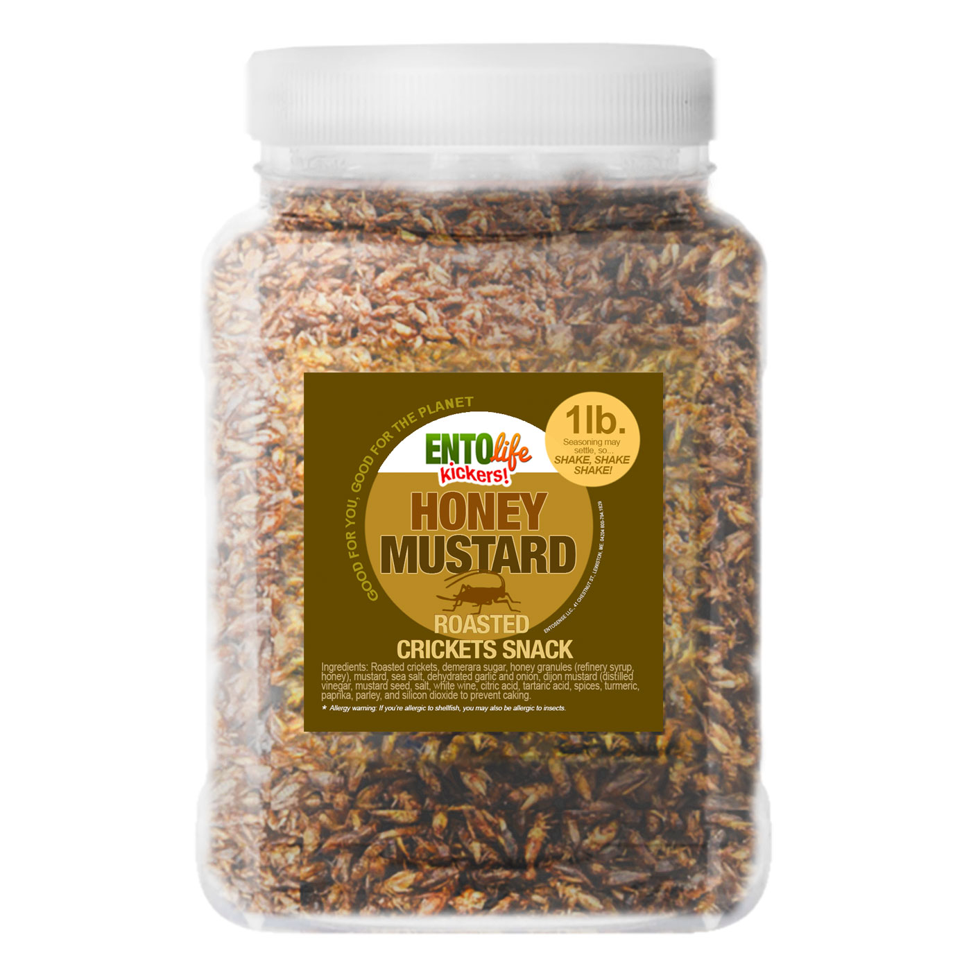 Bulk Crickets by the Pound - Honey Mustard Flavored Cricket Snack ...