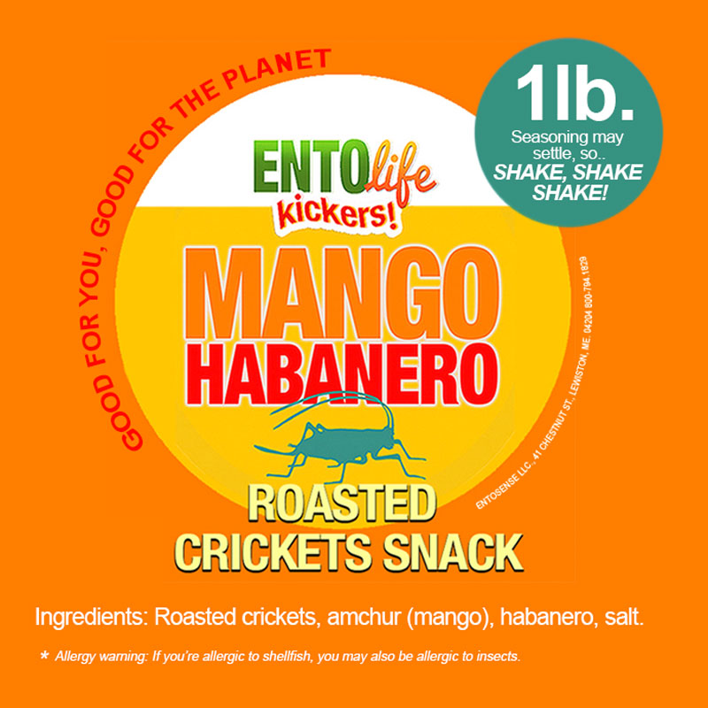Bulk Crickets by the Pound - Habanero Mango Flavored Cricket Snack ...