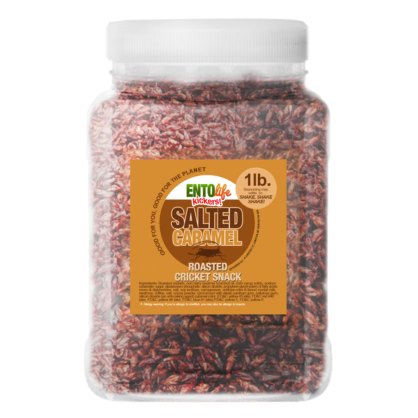 Bulk Crickets by the Pound - Salted Caramel Flavored Cricket Snack ...